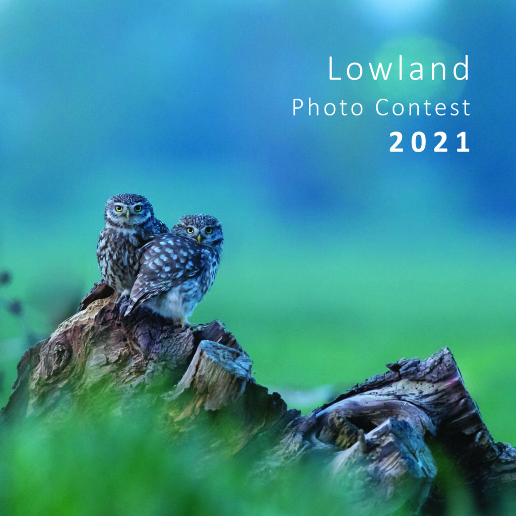 Brochures Lowland Photo Contest – Doe mee met Landschap vzw!